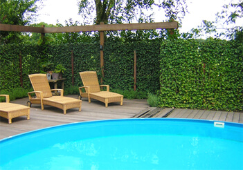 Greenscreens - Urban Forestry